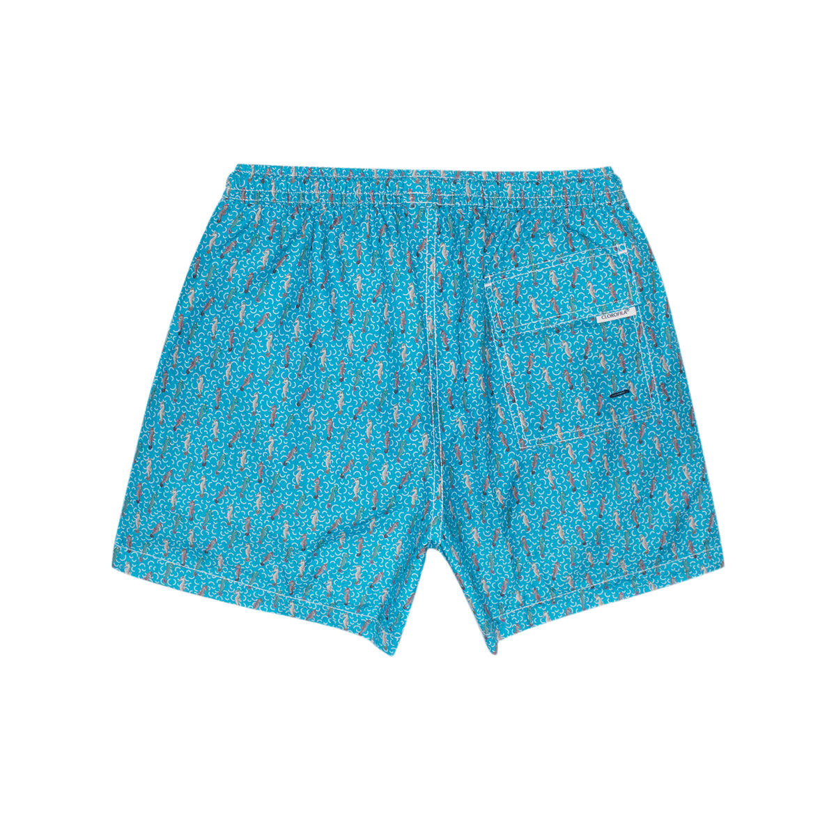 SEAHORSE BLUE – Clorofila Sea Wear